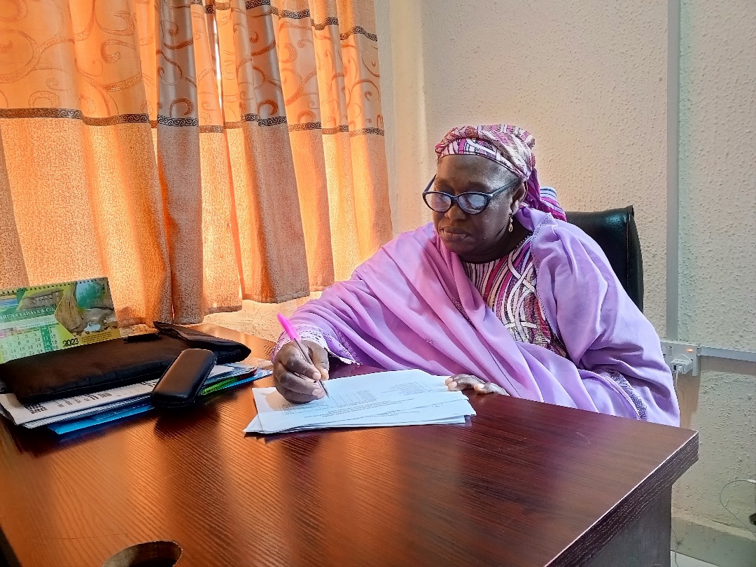 Standard College Of Nursing Sciences Minna